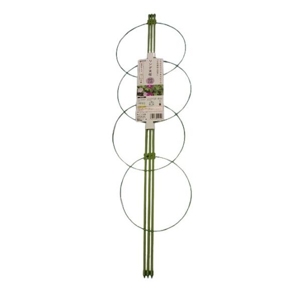 アサガオ、エンドウ、ナス、トマト、キュウリ、ダリア、ポットマ