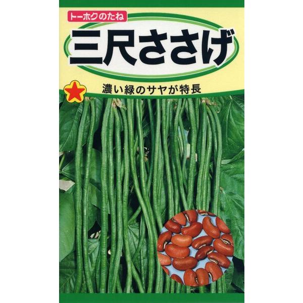 ササゲの種　若莢を煮食するささげです。　莢は太くて緑が濃く、長さ５０ｃｍにもなります。　生産地：インド　発芽率：80%以上　内容量：7.5ml