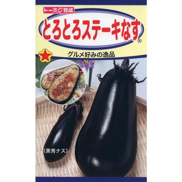 ナスの種　果実が５００ｇ以上にもなる大型ナスです。　加熱調理で凝縮された味と極めて柔らかい食感は絶品の味わい。　生産地：栃木県　発芽率：70%以上　内容量：0.3ml