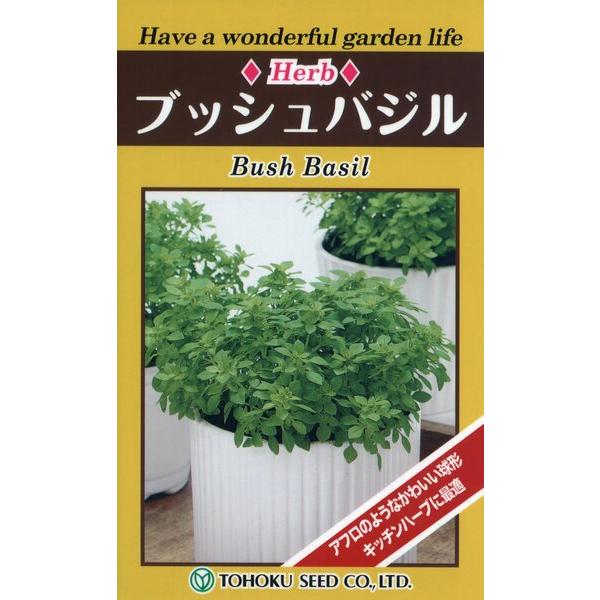 ハーブの種　小さな可愛らしい葉と、丸くコンパクトな草姿が魅力的です。　キッチンハーブとしてサラダやオードブルなどに重宝するバジル。　生産地：イタリア　発芽率：70%以上　内容量：0.5ml