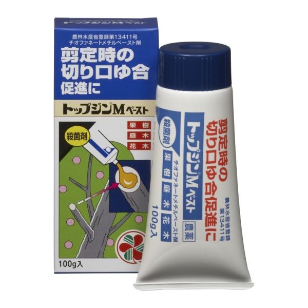 農林水産省登録番号：13411農薬の種類 ：チオファネートメチルペースト剤名称：トップジンＭペースト内容量：100g剪定時の切り口ゆ合促進に。ペースト状の殺菌剤です。剪定・整枝時の切り口、胴枯病などの病患部を削り取った後の傷口に塗ることによ...