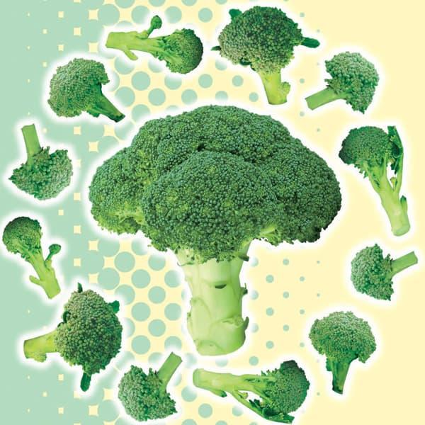 頂上花蕾を収穫後、下の脇芽を何度も収穫できるすぐれもの。側枝の花蕾がおいしい。最初に収穫できる頂上花蕾は、標準的な大きさで収穫でき、烈果も少なくコクのある味が特徴です。頂上花蕾収穫後、側枝が発生し寒さの中次々と新しい花蕾が収穫できます。ブロ...