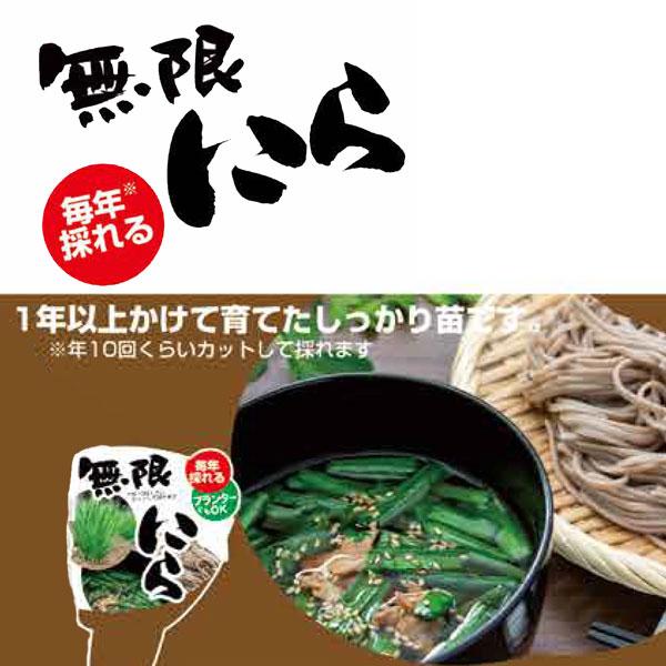 1年以上かけて生産元で育てたしっかり苗です。※年10回くらいカットして採れます。とりたての風味は格別です。炒め物や中華料理にお使い下さい。夏には白いかわいい花も咲かせるので、キッチンガーデンにもおすすめです。また、アブラムシよけとして花壇な...