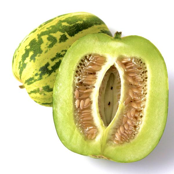 タイガーメロンは、マクワウリと西洋メロンを交配した日本生まれの品種です。黄緑色の果皮に濃緑色の縦縞が入る虎模様が特徴で、重さは300-400gほどです。果肉は白く、マクワウリ特有のシャキシャキとした食感と、メロンの強い甘みを併せ持っています...