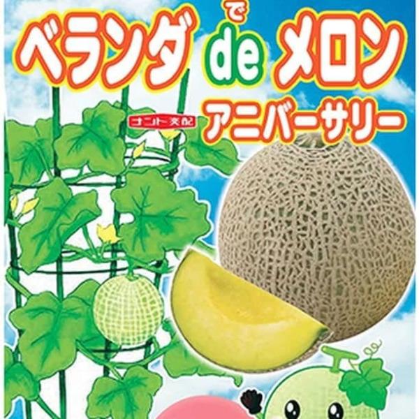 本格的なネットメロンがベランダでも栽培できる！地這いでも、鉢植えのアンドン仕立てやフェンス仕立てでも栽培できる、適応性が広く栽培しやすいメロンです。草勢は強めでツルもちが良く、ウドンコ病に抵抗性で、つる割病レース0.2に抵抗性もあります。果...