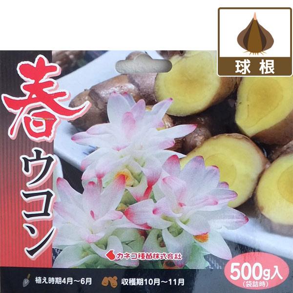 古く平安時代に香料として渡来したウコン。クルクミンをはじめ天然ミネラルが豊富にふくまれているので、現在でも薬用成分が重宝され、健康食品として欠かせない存在です。健胃作用、殺菌作用、血圧効果など、さまざまな薬効があるといわれています。根茎はレ...