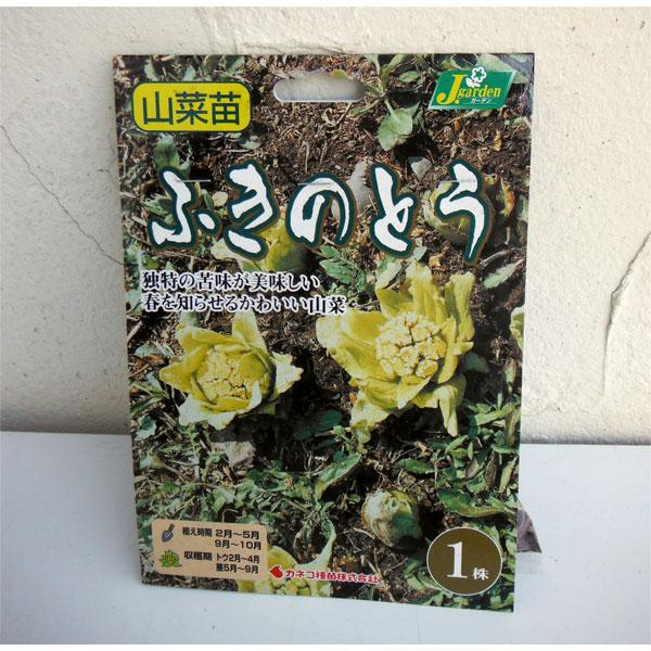 野菜・山菜の裸苗のお徳用パックです。家庭菜園に育てやすい山菜コーナーを！自然の味覚をご家庭でいかがですか？雪どけとともにふっくらしたかわいい蕾が顔を出します。ふきのとうは蕗の花蕾で、雌花は白色、雄花は黄色で、大形の苞に包まれています。さわや...