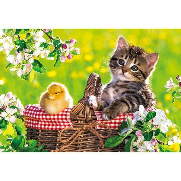 ピヨちゃんとピクニック-/-/88-106・Style:ピヨちゃんとピクニック・パッケージ個数:1・今までありそうでなかった大人向けの大きなピース 大きくて組みやすいピースとやさしい絵柄で、飽きずに繰り返し遊べます。 シニアの脳トレだけでな...