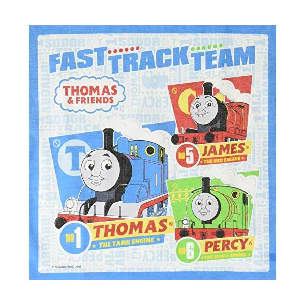 ナフキンブルー/約43×43cm/NF-1・パッケージ個数:1・本体サイズ:約43×43cm・素材・材質:綿100%・生産国:日本