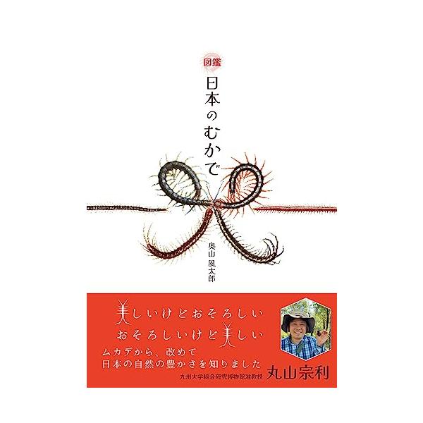 貴重なムカデの生きた姿をフルカラー完全撮り下ろし　ムカデの生態や採り方、見分け方ほかムカデが気になるすべての人に贈る、本邦初のムカデ図鑑