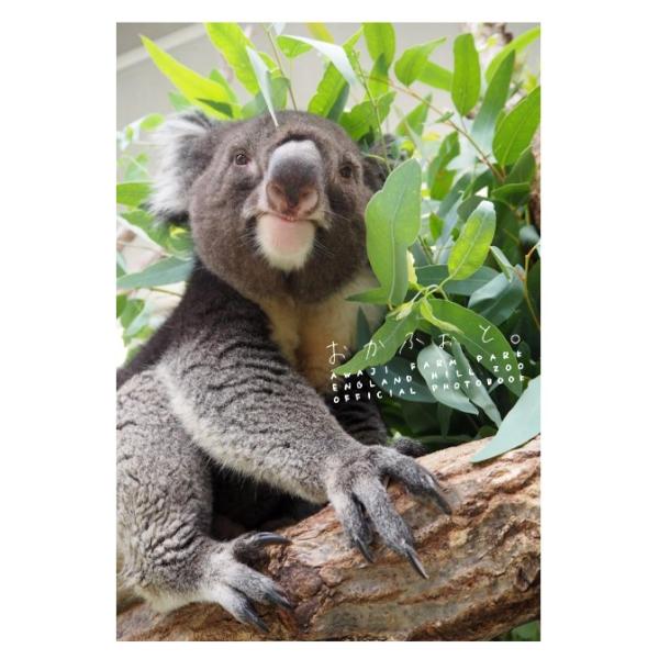 【発売日：2023年02月01日】仕　　様：Ａ5サイズ（148×192mm）ページ数：80発売元：南淡路農業公園株式会社　淡路ファームパーク　イングランドの丘イングランドの丘オリジナル写真集1ｓｔ『おかふぉと。』です。普段のほのぼのとした癒...