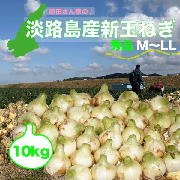 島内でも愛されている原田さん家の玉ねぎです。土づくりからこだわり丁寧に作られているので、多くのリピーターがいます。サラダ等生で食べるのがおすすめです。芽が出てくることもありますが、新玉特有の現象なので気にせず召し上がれます。