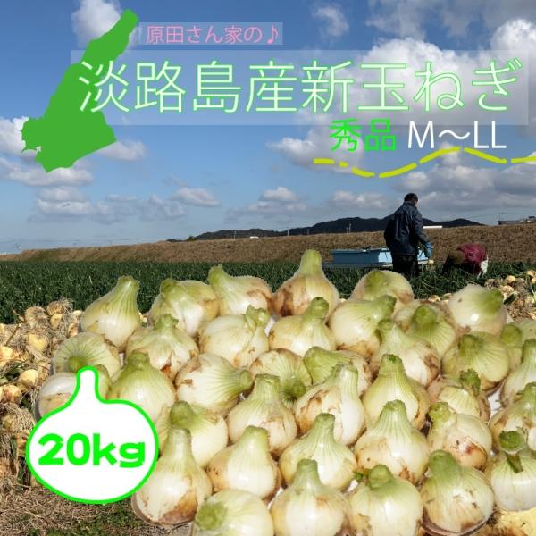 島内でも愛されている原田さん家の玉ねぎです。土づくりからこだわり丁寧に作られているので、多くのリピーターがいます。サラダ等生で食べるのがおすすめです。芽が出てくることもありますが、新玉特有の現象なので気にせず召し上がれます。