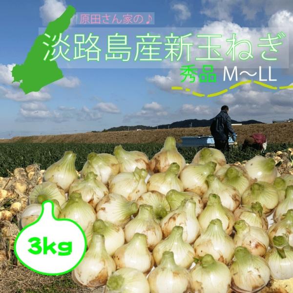 島内でも愛されている原田さん家の玉ねぎです。土づくりからこだわり丁寧に作られているので、多くのリピーターがいます。サラダ等生で食べるのがおすすめです。芽が出てくることもありますが、新玉特有の現象なので気にせず召し上がれます。