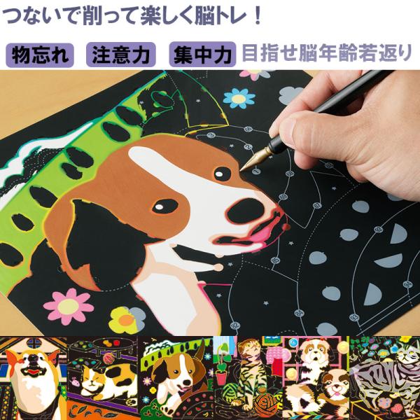 爆買   ■商品詳細【本体サイズ（約）】縦25ｃｍ×横25ｃｍ【個装重量（約）】200ｇ【材質】本体：紙、PP、スクラッチインクスクラッチペン：ABS【セット内容】セット内容 : スクラッチシート6枚、スクラッチペン1本