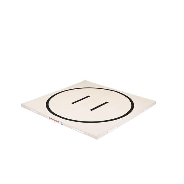 爆買   【送料無料】【受注生産品】エバニュー　EVERNEW 抗菌土俵マット180×180×5 EKM501 マット　土俵　抗菌