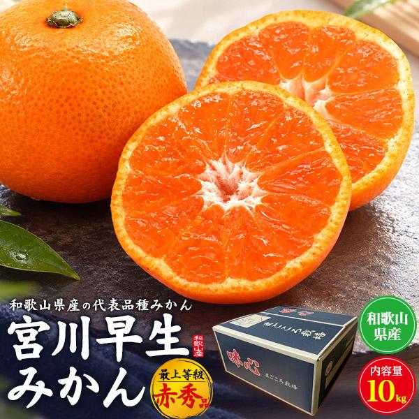 和歌山県産の代表品種「宮川早生みかん」最上等級 赤秀品 約10kg日本一の生産量を誇る和歌山県で作られた「宮川早生みかん」。 甘みと酸味のバランスが絶妙で、温州みかんの中で有名な代表品種です。こたつののお供にぴったりの親しみ深いみかんです。...