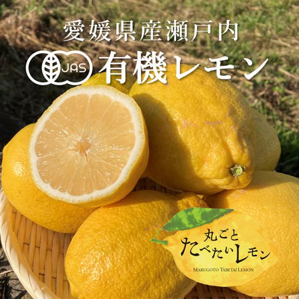 【特徴】・愛媛県産 有機栽培 有機レモン 璃の香 産地直送。・安心と安全の有機JAS認証のもとで栽培。農薬や化学肥料、除草剤など一切使用していません。・酸味がまろやかな璃の香は、果実が大きく果汁も豊富です。・種が少なく、搾汁や加工に向いてい...