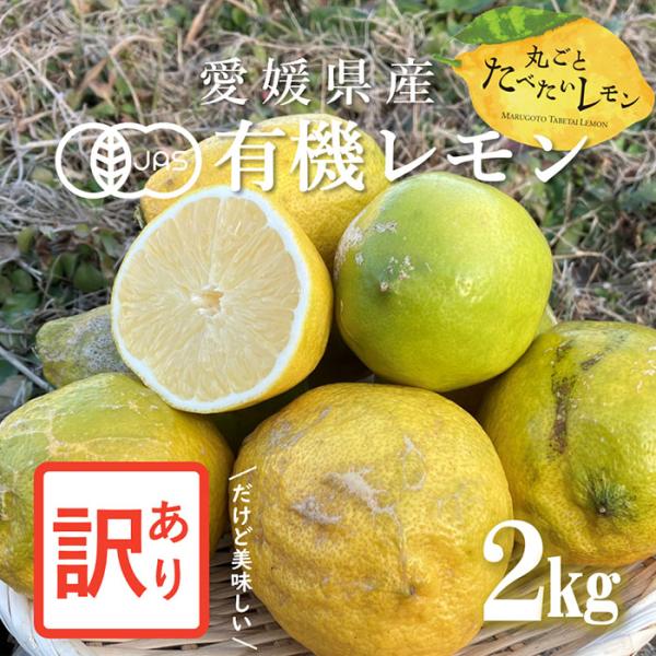 ※こちらは訳あり商品です。内容をよくお確かめの上ご購入ください。※お手元に届くタイミングにより、寒さの影響で若干柔らかくなる場合がございます。配達日時のご指定及び前払い等のご注文内容によりお手元に届くタイミングも同様です。予めご了承ください...