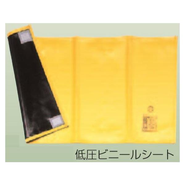 低圧ビニールシートサイズ：600×1000ｍｍ使用電圧： 600V以下 交流 （直流750V以下でもご使用頂けます）特徴：●耐貫通性に優れています。●軟質素材を使用しておりますので、柔軟性に優れています。●注：本州エリア以外の場合は、別途送...