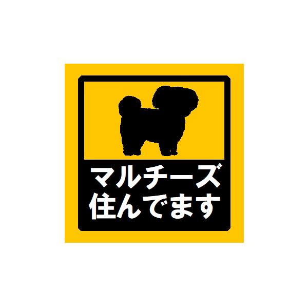 玄関 UVカット ステッカー マルチーズ住んでます EH-0883・サイズ：およそ 横幅9×縦幅9cm・UVカット加工※シールタイプのステッカーです。