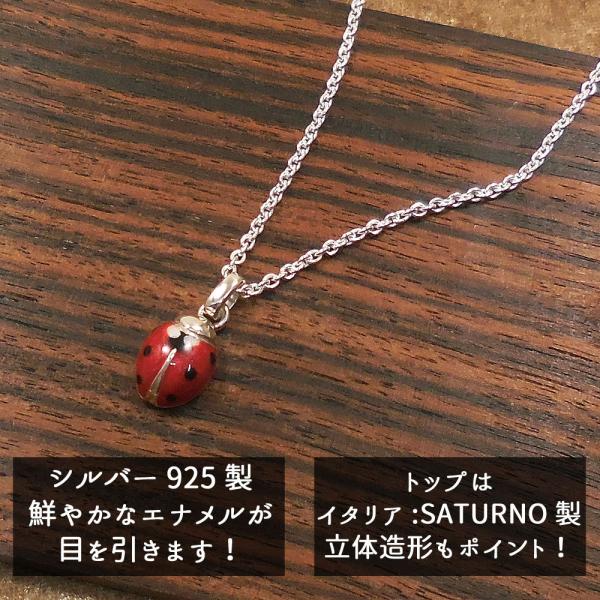 entiere ネックレス ペンダント コッチネーラ てんとう虫 entiere ネックレス ペンダント コッチネーラ てんとう虫