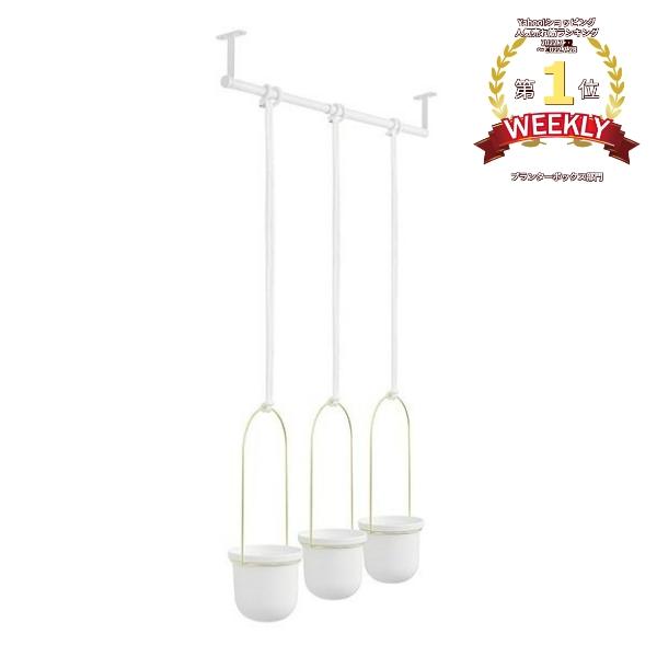 手軽に植物をディスプレイ：トリフローラ プランターは、金属製のレールに3個のプランターをロープで吊り下げることにより、コンパクトなスペースへ手軽に植物をディスプレイすることができます。レイアウトは上下左右自由自在：プランターは3本のロープ（...