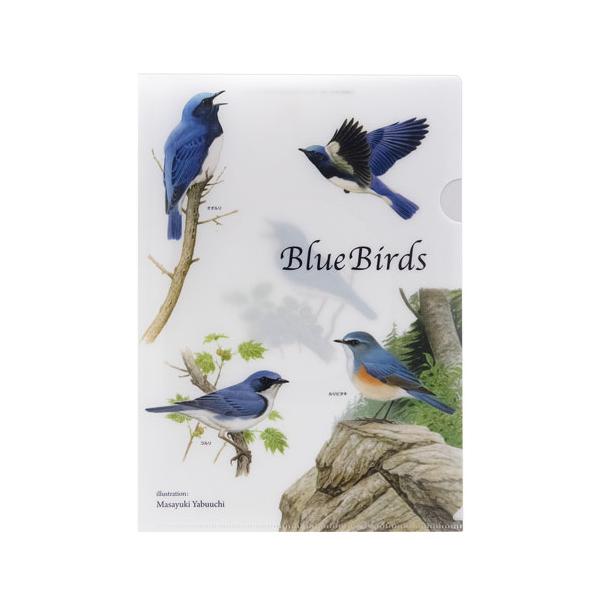 <li>A4サイズのクリアファイルです。</li><li>表面は白地にカラーにイラストが印刷されています。</li><li>裏面は透明地にイラストが印刷されていて中身が見えるように...