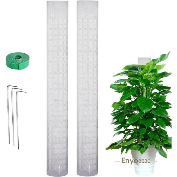【関連キーワード】モンステラ モスポール クリア 植物サポート 透明 調節可能 苔ポール 苔ポール用 植物サポート2/4/6pcs モンステラ モスポール クリア 植物サポート 透明 調節可能 苔ポール 苔ポール用 植物サポート2/4/6pcs
