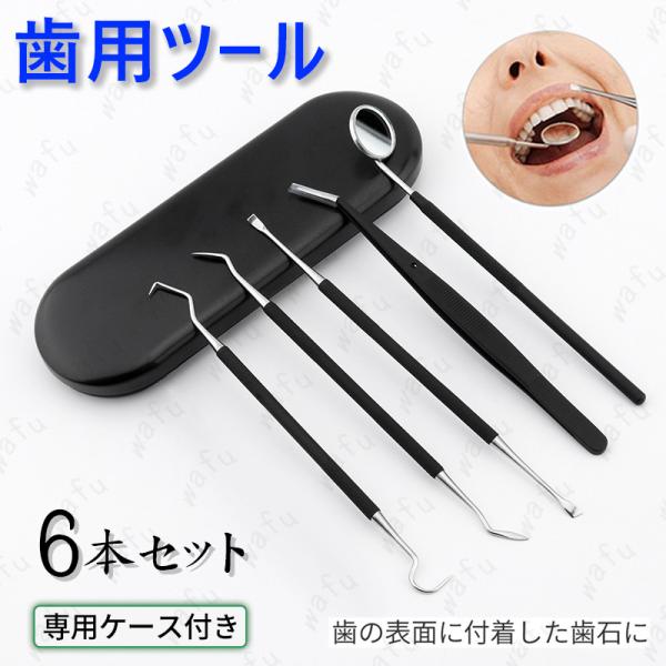 【商品説明】歯石や汚れを簡単チェック＆ケア！最適なプロ仕様のツール　5本セットです。手軽に 本格デンタルケアができます。持ち運びにも便利な専用ケース付きです。きっちり収まるので、安全かつ清潔に収納することができます。【セット内容】・鎌型aス...