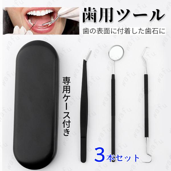 【商品説明】歯石や汚れを簡単チェック＆ケア！最適なプロ仕様のツール　3本セットです。手軽に 本格デンタルケアができます。持ち運びにも便利な専用ケース付きです。きっちり収まるので、安全かつ清潔に収納することができます。【セット内容】・鎌型スケ...