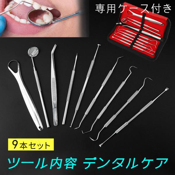 ★ご覧頂き有難うございます。【商品説明】●歯石や汚れを簡単チェック＆ケア！豪華 9本セット!!専用ケース付き【セット内容】(1)※鎌型aスケーラー  サイズ     16.7cm(2)※鎌型bスケーラー  サイズ     16.2cm(3)...