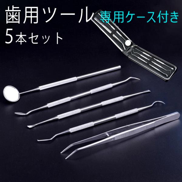 ★ご覧頂き有難うございます。【商品説明】●歯石や汚れを簡単チェック＆ケア！ 5本セット 専用ケース付き!!【セット内容】(1)※鎌型aスケーラー  サイズ     17cm(2)※鎌型bスケーラー  サイズ     17cm(3)※歯用ミラ...