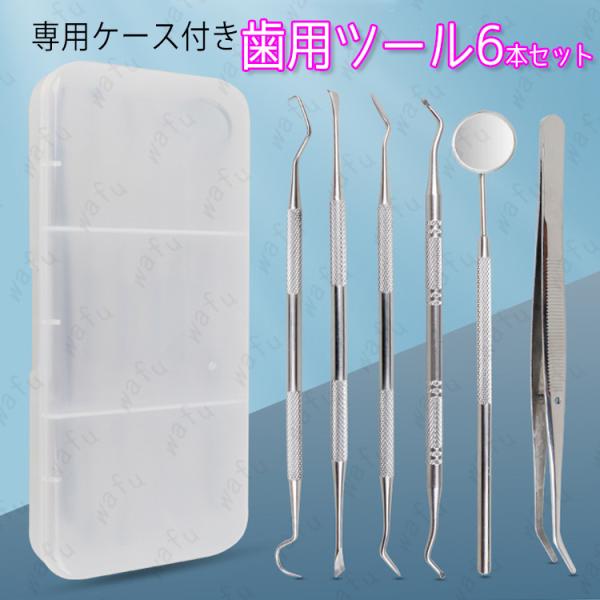 ★ご覧頂き有難うございます。■【商品説明】●自宅用 本格デンタルツール6点セット。●ステンレス製歯用ツール、初心者向けセット。●食べかす、歯石、歯垢、虫歯、色素沈着に。本格的な口内ケアを!!■【セット内容】●鎌型ツール×3 歯間の歯垢や歯石...