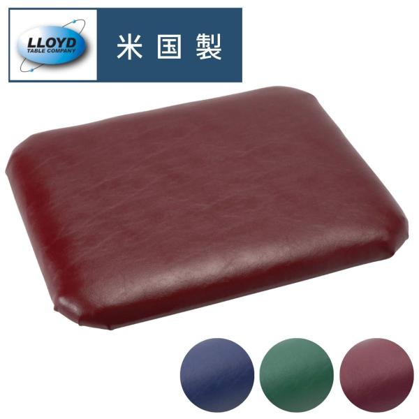 【発売日：2022年03月29日】・《テーブルボード》施術で骨盤ブロックを使用する場合、クッションの柔らかいテーブルの上ではブロックが不安定になるため、患者の身体とクッションの間にこのボードを敷いて使用します。また、そのちょうど良い硬さを利...