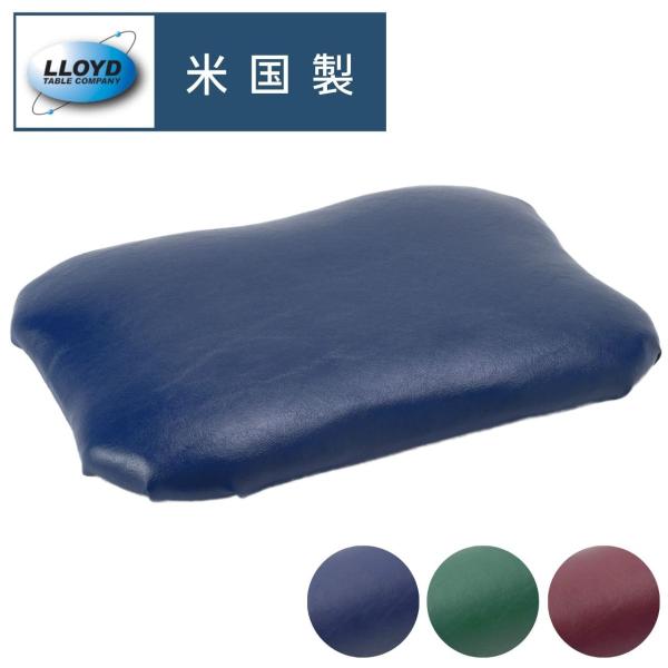 【発売日：2022年03月29日】・《頭蓋骨用ボード》後頭部と頚椎のあたる部分に凹みがあり、仰向けの姿勢で頭を安定して支えます。・底面に硬質ボードが入っているので、施術環境の安定化が可能です。・患者を仰向けにするときの枕として使用されます。...