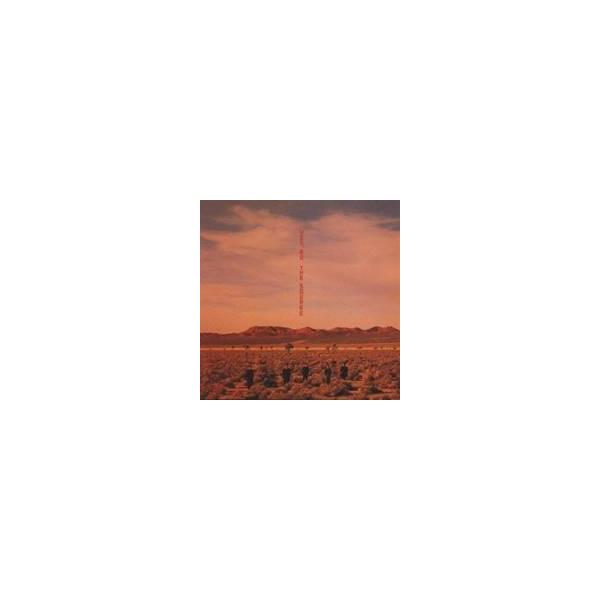 ■発送倉庫:DVD倉庫（※神奈川県からの発送）■種別:CD■発売日:2001/12/12■販売元:ソニー・ミュージックディストリビューション■収録:Disc.1／01. DANS SA CHAMBRE (5:25)／02. GO FOR I...