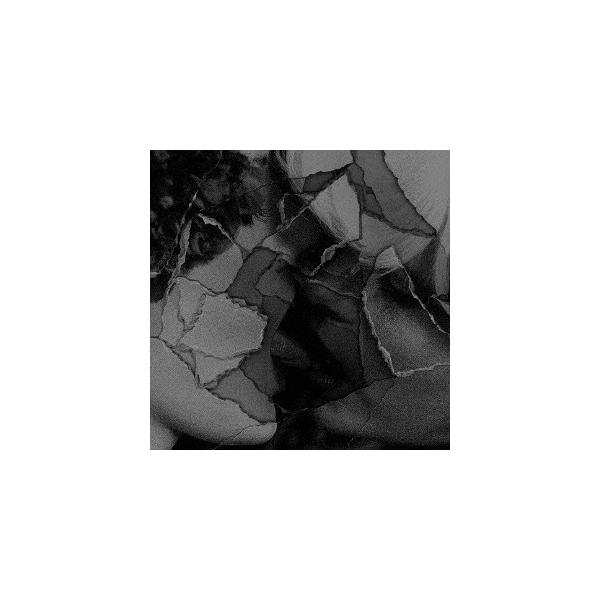 ■発送倉庫:DVD倉庫（※神奈川県からの発送）■種別:CD■発売日:2017/01/25■販売元:スペースシャワーネットワーク■収録:Disc.1／01.Intro(0:11)／02.Earache(3:10)／03.Dark Lights...