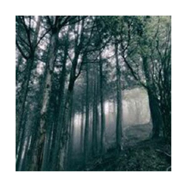 ■発送倉庫:DVD倉庫（※神奈川県からの発送）■種別:CD+DVD■発売日:2017/09/15■販売元:ブリッジ■収録:Disc.1／01.DNA(5:16)／02.Resonance(2:01)／03.Between The Trees...