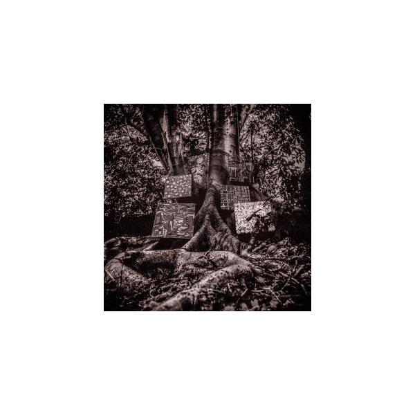 ■発送倉庫:DVD倉庫（※神奈川県からの発送）■種別:CD■発売日:2017/09/22■販売元:DIS■収録:Disc.1／01.DESIRE(4:36)／02.HUMILITY(2:46)／03.KNOWLEDGE(3:51)／04.P...