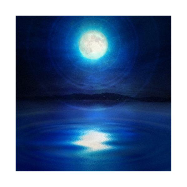 ■発送倉庫:DVD倉庫（※神奈川県からの発送）■種別:CD■発売日:2017/11/29■販売元:日本コロムビア■収録:Disc.1／01.Counter Moon(2:21)／02.Clip from a City Map(1:49)／0...