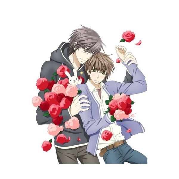 ■発送倉庫:DVD倉庫（※神奈川県からの発送）■種別:DVD■発売日:2012/01/27■販売元:KADOKAWA■説明:シリーズ解説 恋も仕事も「ダメだし」ばっかり。-ホント、むかつく！！／出版社を舞台に繰り広げるちょこっとリアルな出版...