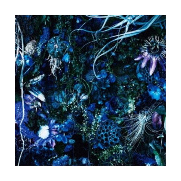 ■発送倉庫:DVD倉庫（※神奈川県からの発送）■種別:CD■発売日:2017/11/29■販売元:ユニバーサルミュージック■収録:Disc.1／01.永遠 feat.RYUICHI(8:18)／02.Daniela feat.Yoohei ...