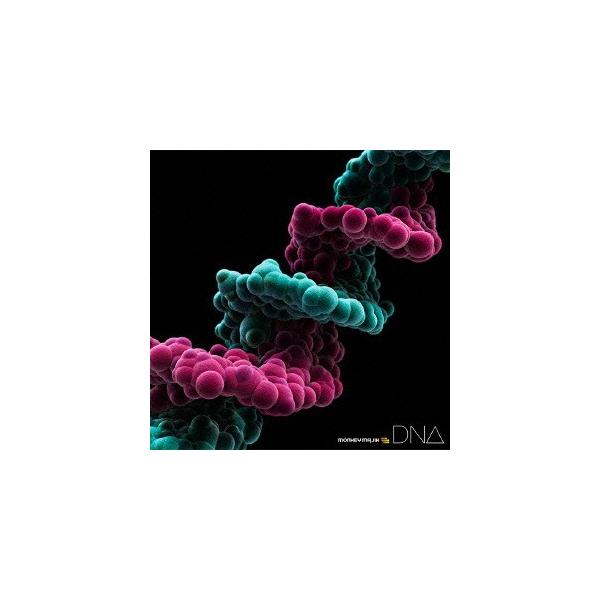 ■発送倉庫:DVD倉庫（※神奈川県からの発送）■種別:CD■発売日:2013/10/16■販売元:エイベックス・マーケティング■収録:Disc.1／01.Alive(3:48)／02.Free to Fly(3:44)／03.Gravity...