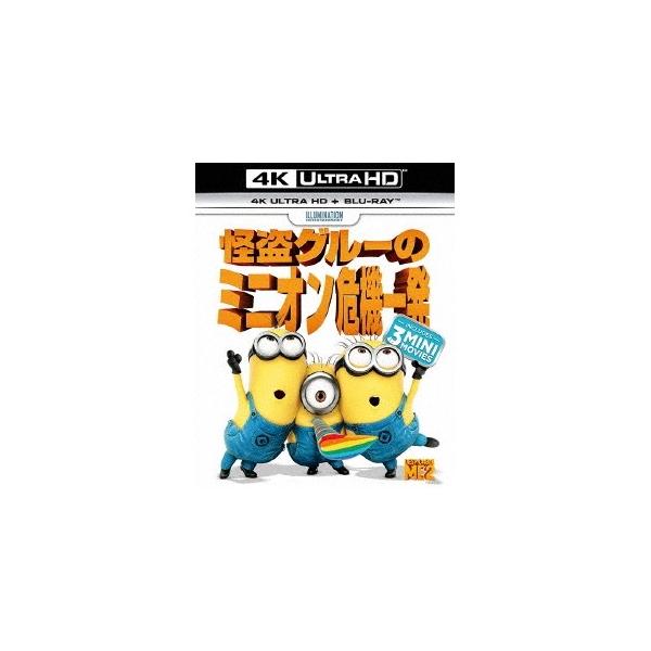 ■発送倉庫:DVD倉庫（※神奈川県からの発送）■種別:Blu-ray■発売日:2017/06/21■販売元:ユニバーサル制作■説明:解説 誰もが失いたくない仲間がいる！！／最強？の仲間、ミニオンたちに史上最大のピンチがやってきた！？  『怪...