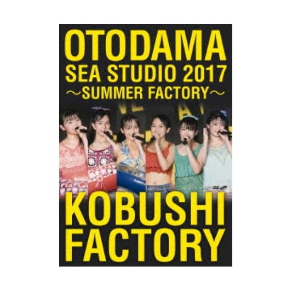 ■発送倉庫:DVD倉庫（※神奈川県からの発送）■種別:DVD■発売日:2018/01/17■販売元:ダイキサウンド■収録:Disc.1／01.OPENING／02.念には念 (念入り Ver.)／03.バッチ来い青春！／04.MC／05.エ...