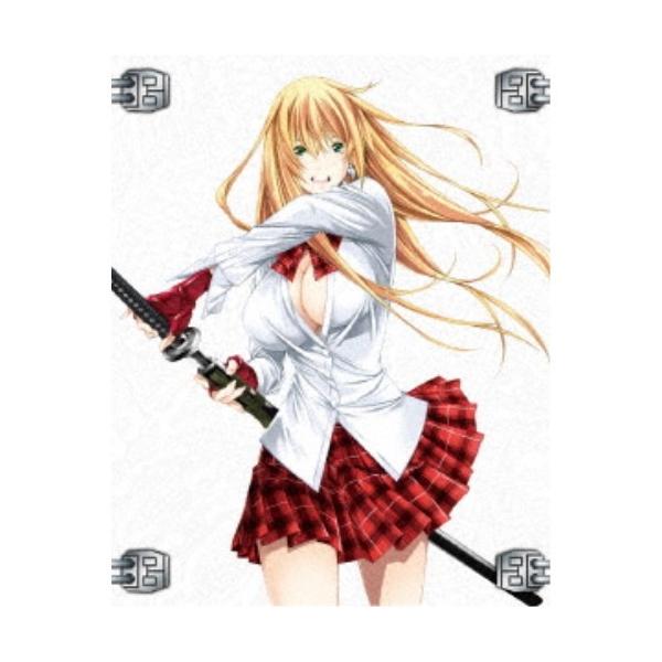 ■発送倉庫:DVD倉庫（※神奈川県からの発送）■種別:DVD■発売日:2019/02/27■販売元:メディアファクトリー■説明:シリーズ解説 ハイパー爆乳アクションアニメの金字塔  解説 キャスト役割名：□はしめすへんに者  『一騎当千 W...