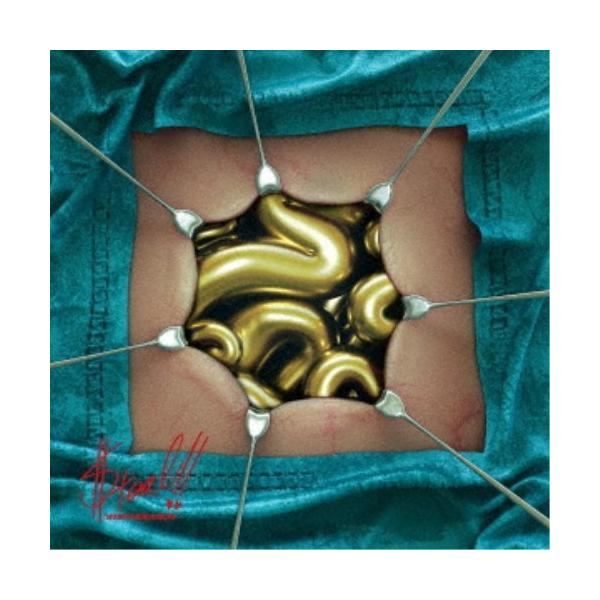 ■発送倉庫:DVD倉庫（※神奈川県からの発送）■種別:CD■発売日:2020/11/04■販売元:ポニーキャニオン■収録:Disc.1／01.STEAL！！／02.Yurei (stei remix)■説明:SPARK!!SOUND!!SH...