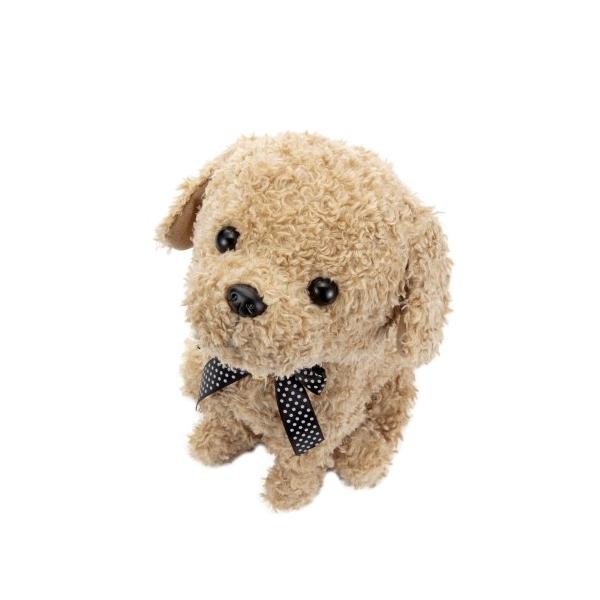 ■発送倉庫:玩具倉庫（※千葉県からの発送）■種別:おもちゃ■発売日:2021/07/29■メーカー:セガ フェイブ■対象年齢:6歳以上■説明:わたしのことばがわかるじまんのペット！音声認識で、ことばにあった特技を24コ披露してくれます。  ...