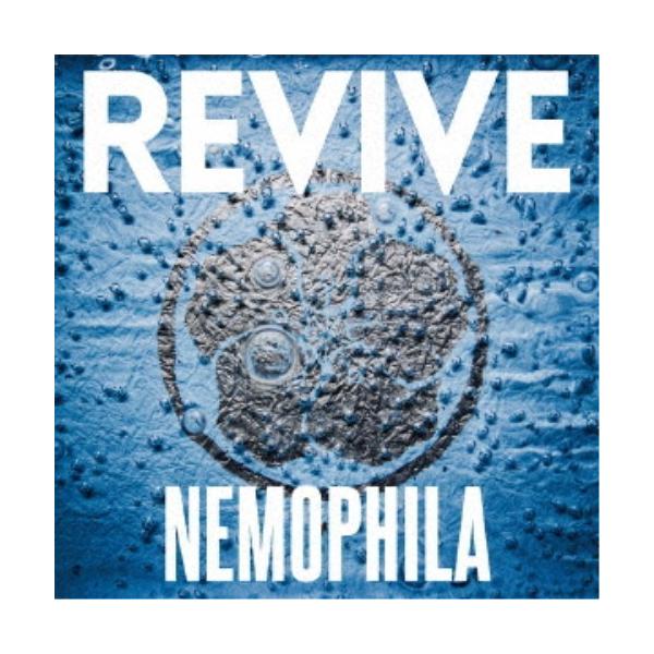 ■発送倉庫:DVD倉庫（※神奈川県からの発送）■種別:CD■発売日:2021/12/15■販売元:スペースシャワーネットワーク■収録:Disc.1／01.REVIVE(3:28)／02.DISSENSION (Remastered)(4:0...